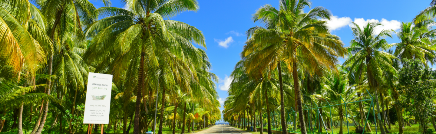 Abap Learning Journey Learn Abap With These Resources Sap Press